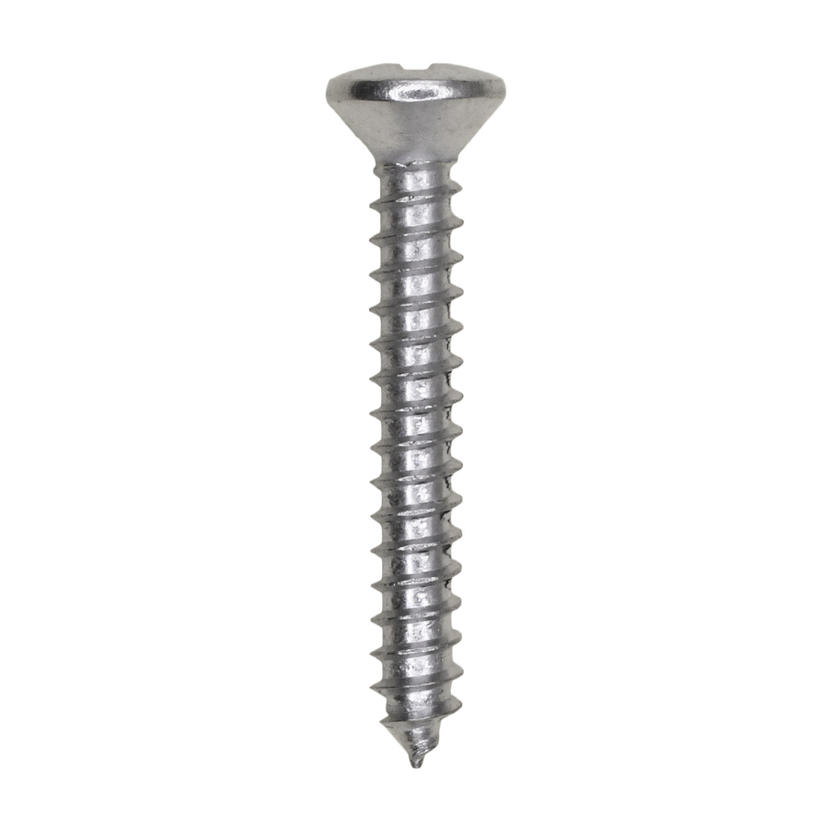#6 x 1" Phillips Oval Head Tapping Screw - Chrome - Rogo Fastener Co., Inc.